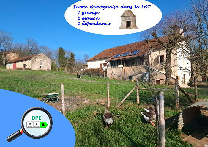 Maison à vendre - Catus - 4 pièces - 2 chambres