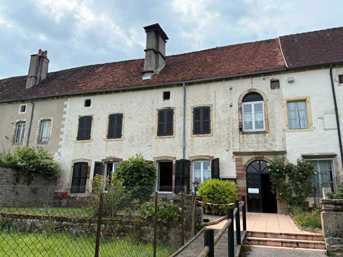 Châtillon-sur-Saône - Maison 15 pièces à vendre