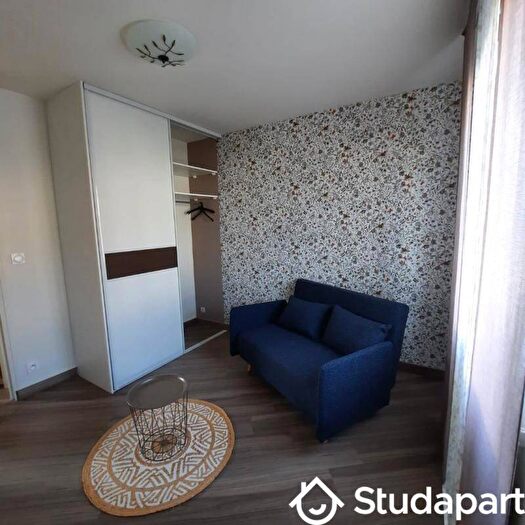 Appartement à louer - Grand Pigeon-Deux Croix-Banchais, Angers - 1 pièce - 2 chambres