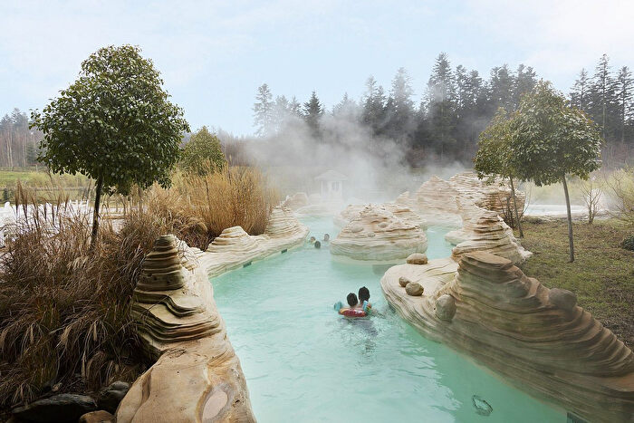 Maison à vendre - Hattigny - 3 pièces - 2 chambres