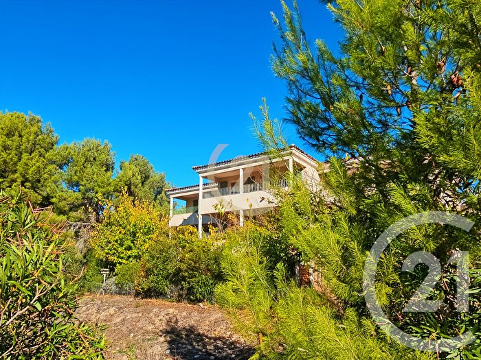 Appartement à vendre - Patrimonio - 2 pièces - 1 chambre