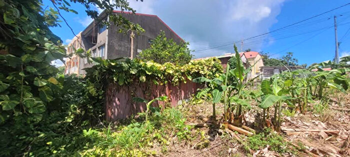 Maison à vendre - Capesterre-Belle-Eau - 4 pièces - 2 chambres