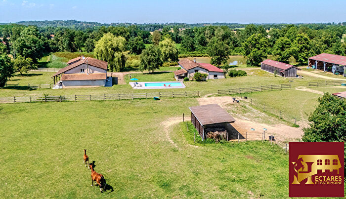 Maison 15 pièces à vendre à Neuville-les-Dames