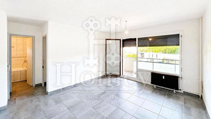 Sud Ouest, Saint-Julien-en-Genevois - Appartement 1 pièce à louer