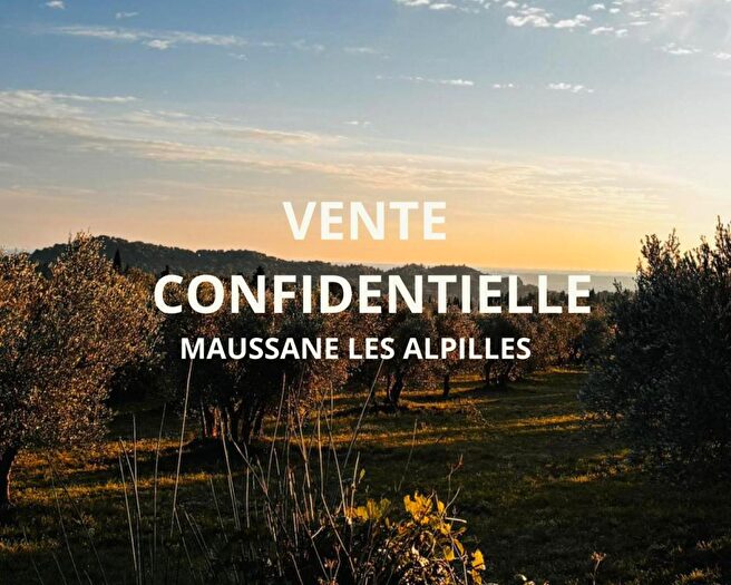 Maison à vendre - Maussane-les-Alpilles - 5 pièces - 4 chambres