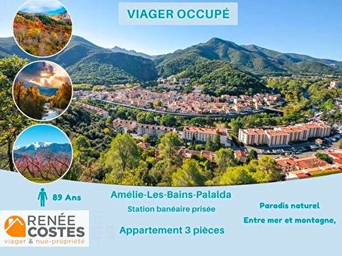 Appartement à vendre - Amélie-les-Bains-Palalda - 3 pièces - 3 chambres
