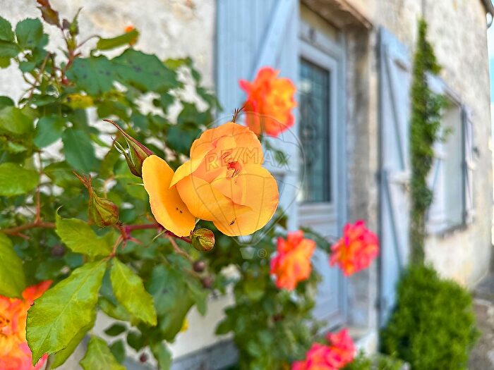 Maison à vendre - Senlis, Villevert - 5 pièces - 3 chambres
