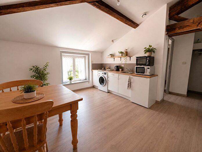 Appartement 2 pièces à louer - Gleizé