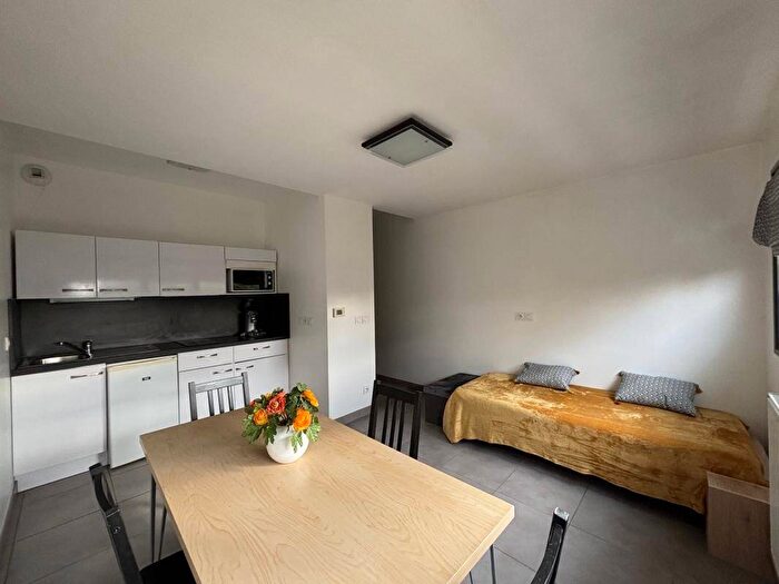 Appartement à louer - Croix Luizet, Villeurbanne - 1 pièce