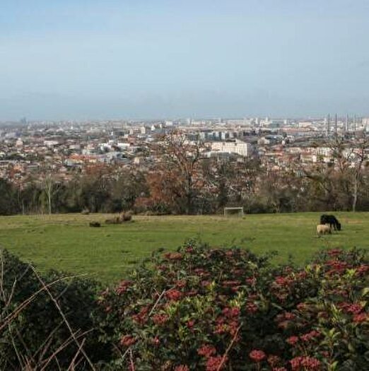 Appartement à louer - Cenon - 2 pièces - 1 chambre