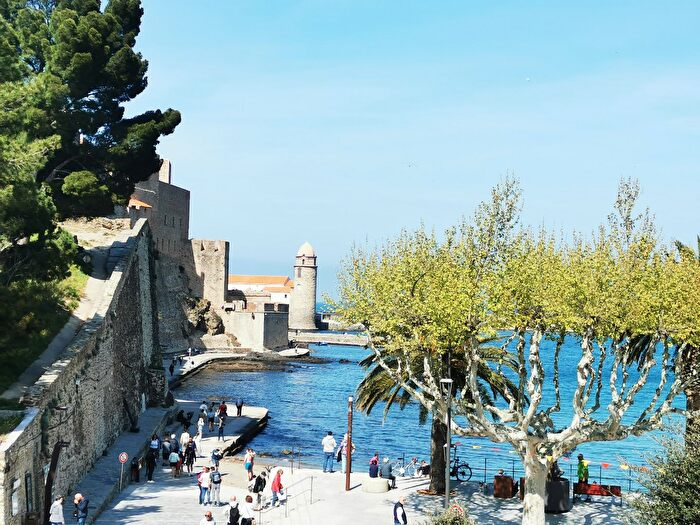 Maison à vendre - Collioure - 6 pièces - 5 chambres