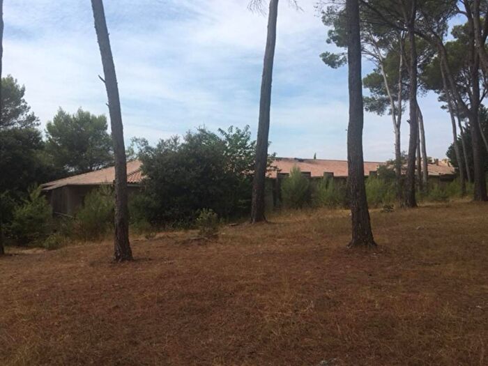 Appartement à louer - Clapiers - 1 pièce