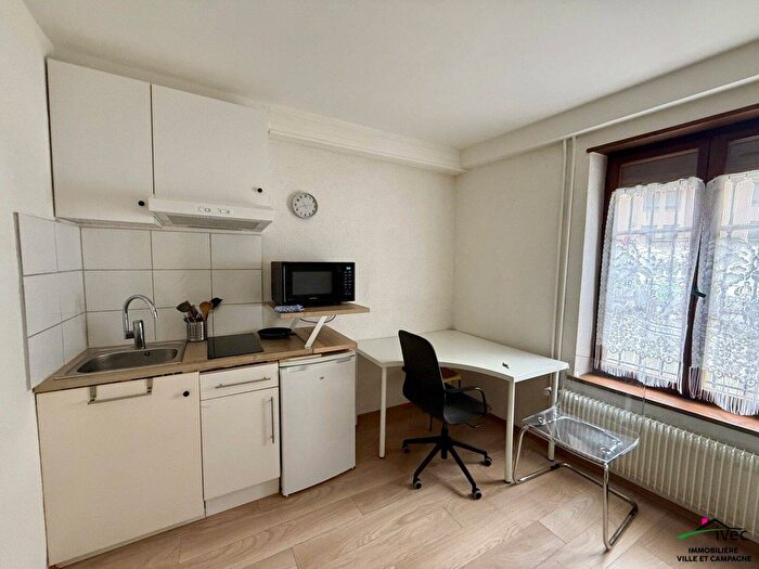 Petite France Centre, Strasbourg - Appartement 1 pièce à louer
