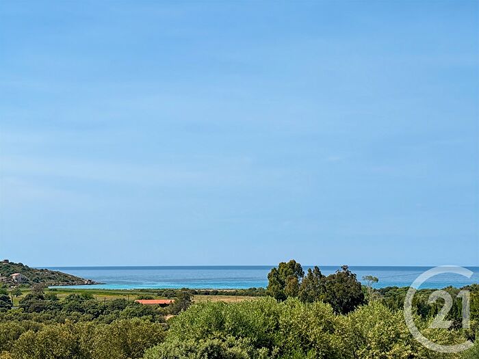 Maison à vendre - Belgodère - 5 pièces - 4 chambres