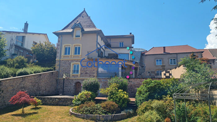 Maison 5 pièces à vendre à Belmont-de-la-Loire