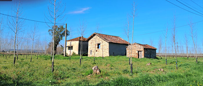 Maison à vendre - Montesquieu - 2 pièces - 1 chambre