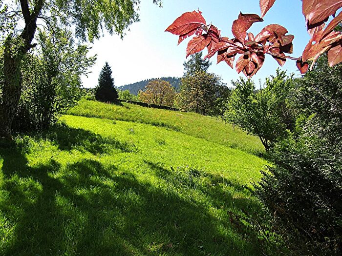 Maison à vendre - Luvigny - 8 pièces - 5 chambres