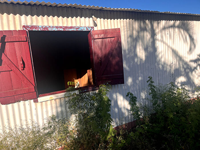 Maison 3 pièces à vendre - Saint-Leu, Piton Saint-Leu, Bois de Nèfles, Plateau