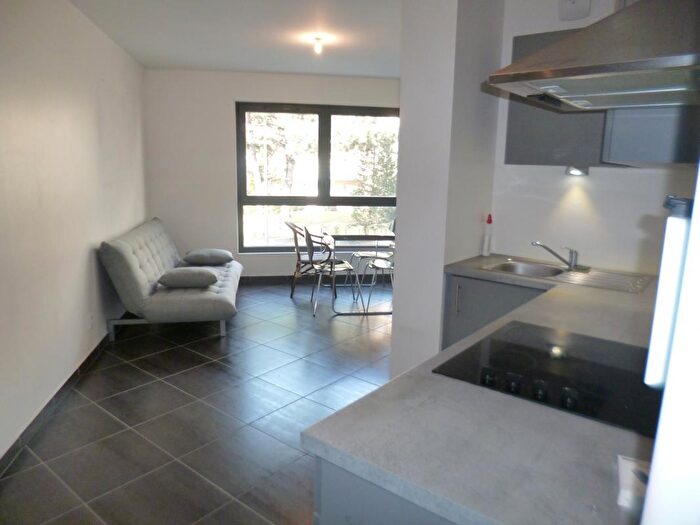 Appartement à louer - Le Puy-en-Velay, Fraisses, Saint-Laurent - 1 pièce