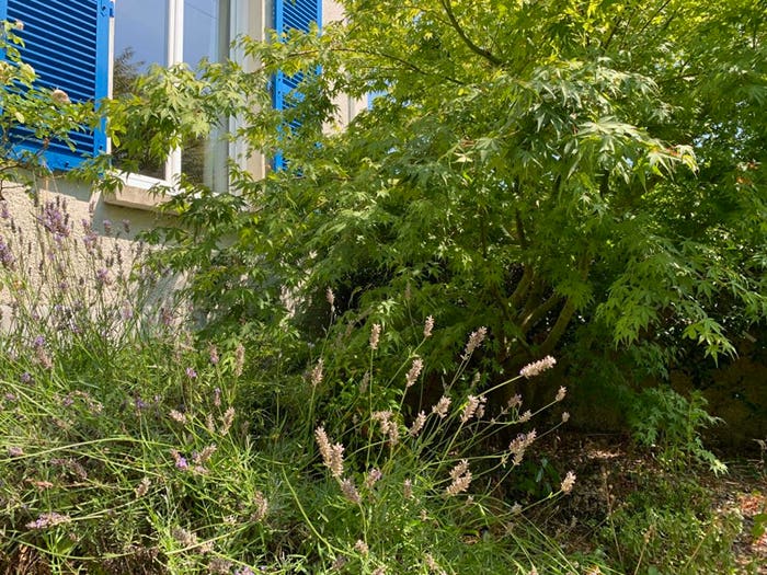 Maison 3 pièces à vendre à Vannes, Conleau