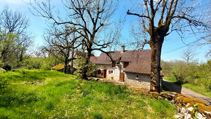 Maison à vendre - Saillac - 15 pièces - 6 chambres