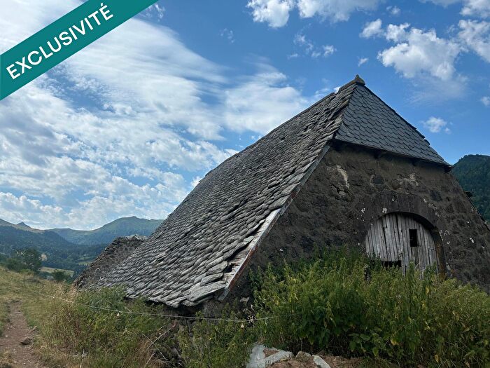 Maison 1 pièce à vendre à Le Falgoux