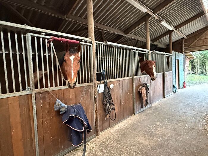 Maison à vendre - Corcy - 5 pièces - 4 chambres