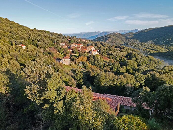 Maison à vendre - Pietrosella - 5 pièces - 4 chambres