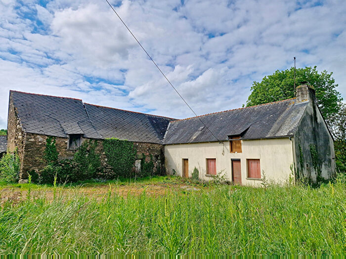 Maison à vendre - Lanouée - 3 pièces
