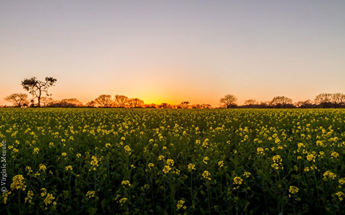 Maison à vendre - Ploeren - 7 pièces - 5 chambres