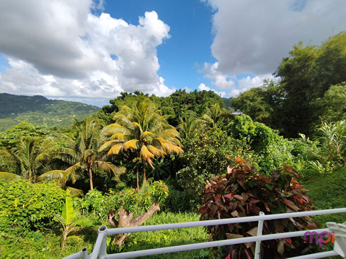 Appartement à louer - Rivière-Pilote - 2 pièces - 1 chambre