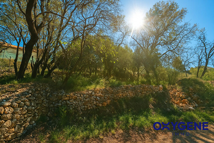 Maison à vendre - Estagel - 1 pièce