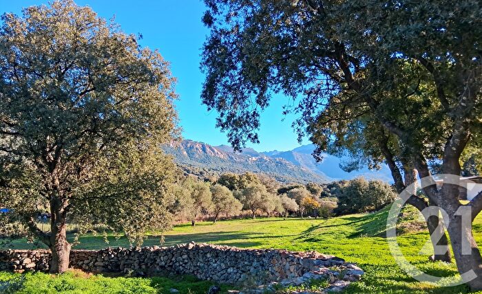 Maison à vendre - Montegrosso - 6 pièces - 3 chambres