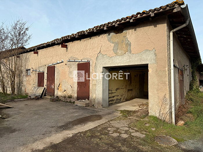 Appartement à vendre - Baneins - 1 pièce