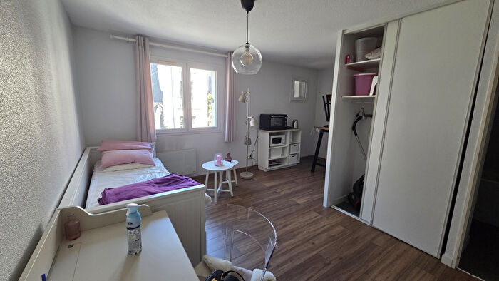 Clermont-Ferrand, Delille, Cathédrale, La Gare - Appartement 1 pièce à louer