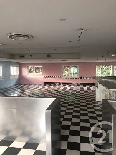 Maison à louer - Castres - 12 pièces - 5 chambres