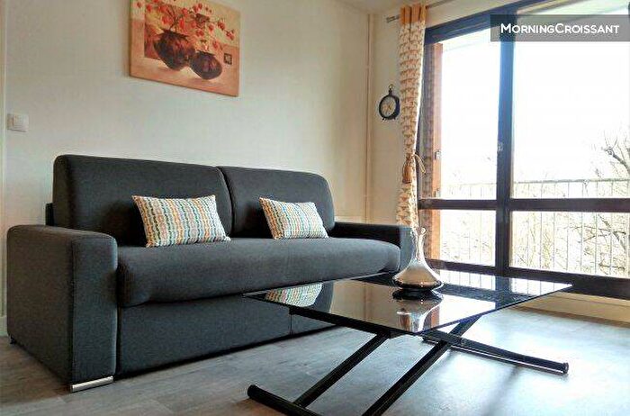 Appartement 1 pièce à louer à Delaunay Belleville, Saint-Denis