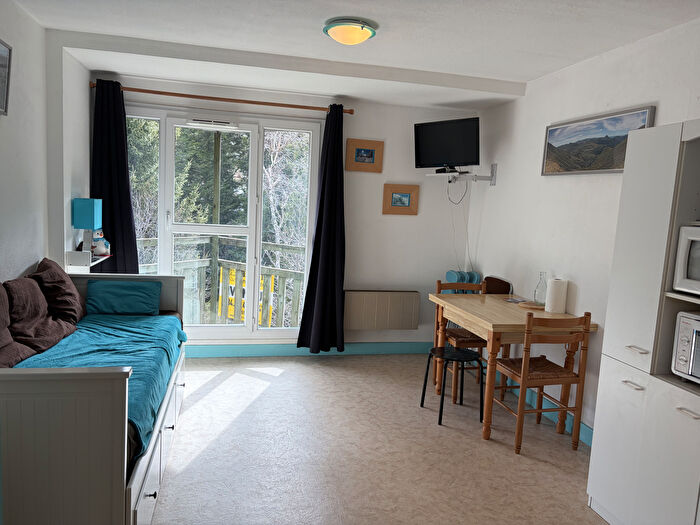 Appartement à vendre - Laveissière - 1 pièce