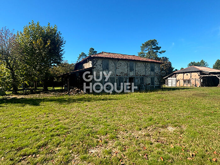 Maison à vendre - Escource - 4 pièces - 3 chambres