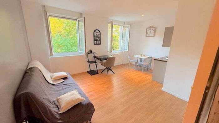 Badouillère-Saint Roch-Valbenoîte, Saint-Étienne - Appartement 1 pièce à louer