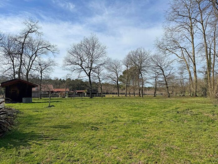 Maison à vendre - Rivière-Saas-et-Gourby - 7 pièces - 5 chambres