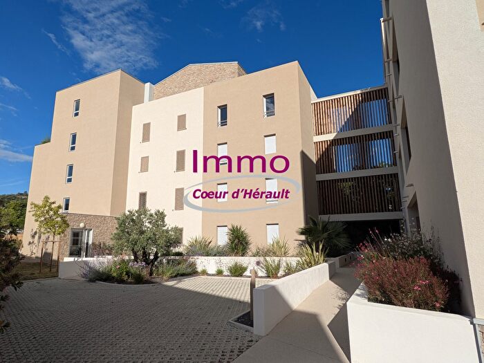 Clermont-l'Hérault : Appartement 3 pièces à louer