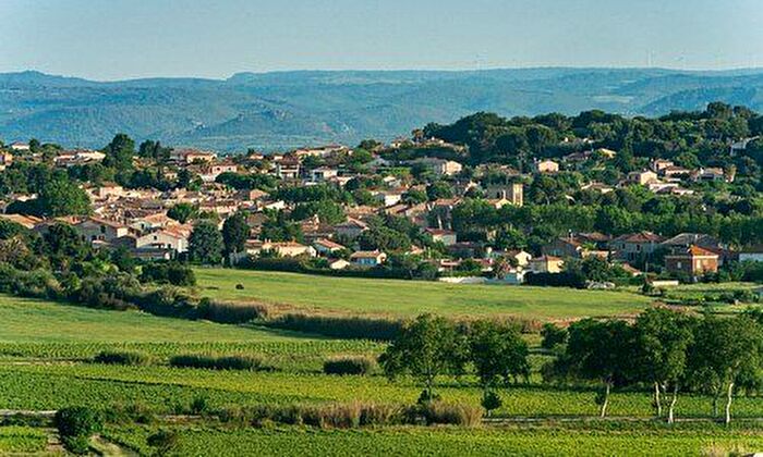 Maison à vendre - Tourbes - 5 pièces - 3 chambres