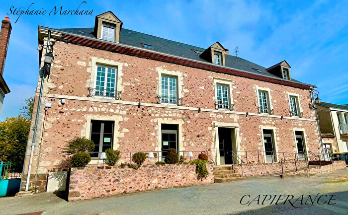 Maison à vendre - Thiron-Gardais - 19 pièces - 10 chambres