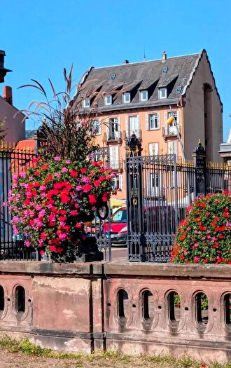 Appartement à vendre - Saverne, Centre-ville, Zornhoff - 5 pièces - 3 chambres