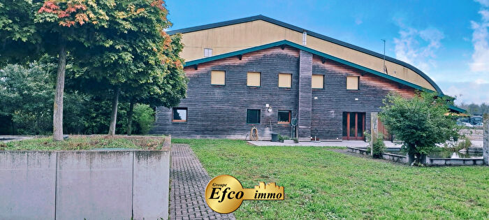 Maison à vendre - Dietwiller - 6 pièces - 3 chambres