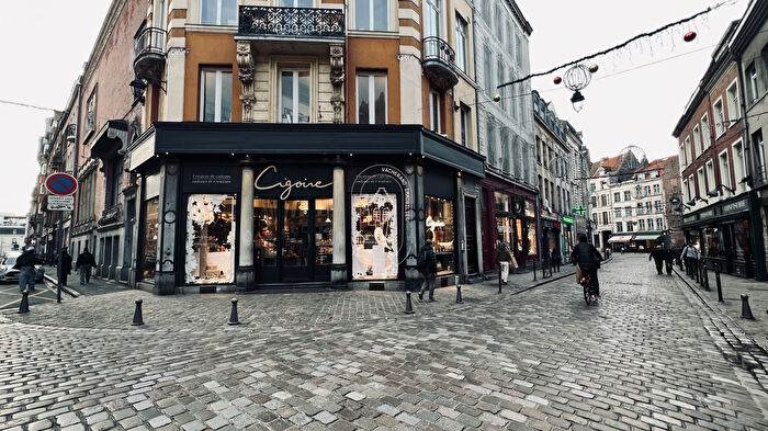 Appartement à vendre - Lille - 2 pièces - 1 chambre