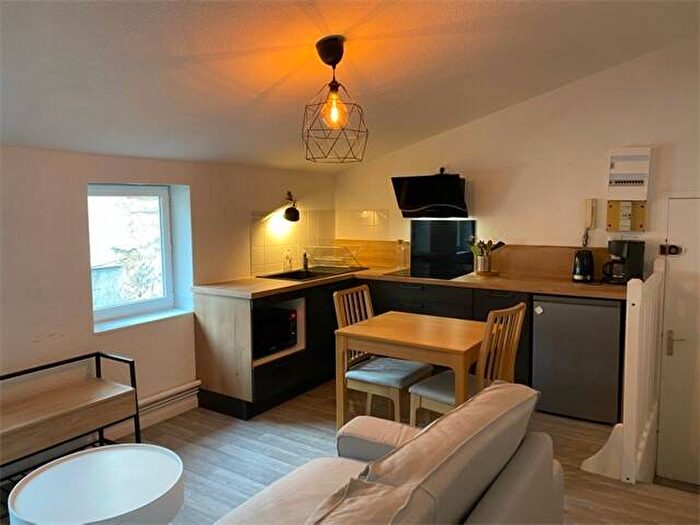 Appartement à louer - Hyper Centre-Vieille Ville, Saint-Étienne - 1 pièce