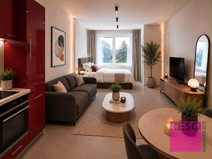 Annemasse - Appartement 1 pièce à louer
