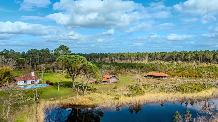Maison à vendre - Sore - 7 pièces - 4 chambres